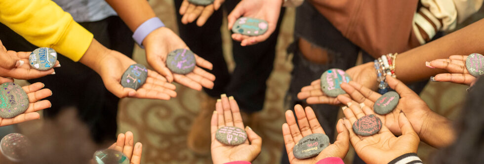 STEAM Program - LEAD Girls of NC